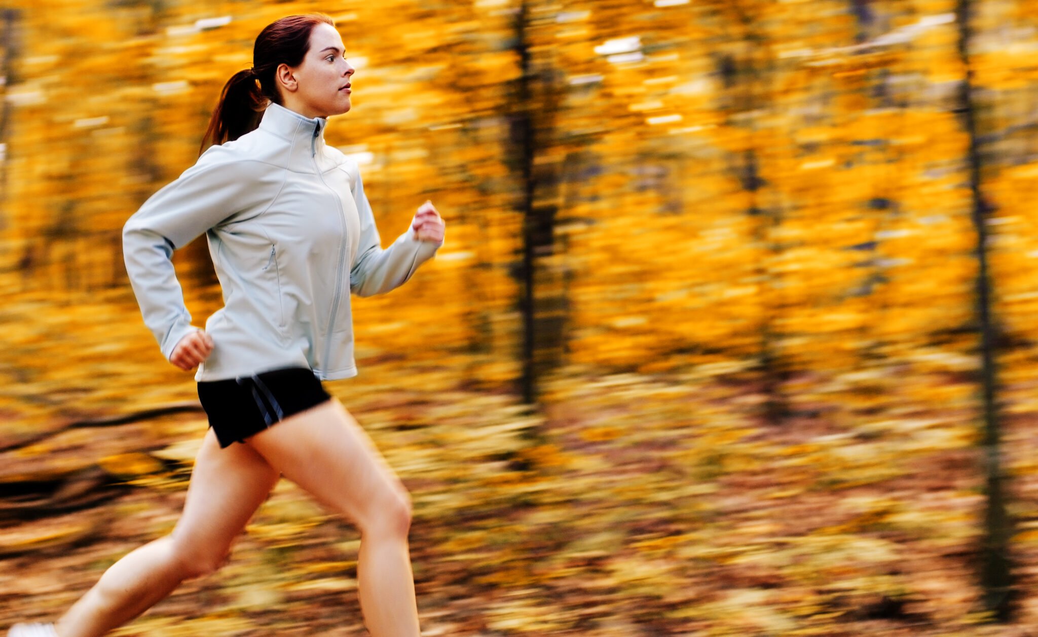Birkie Trail Run Festival Debuts New Venue and Virtual Option • Up ...